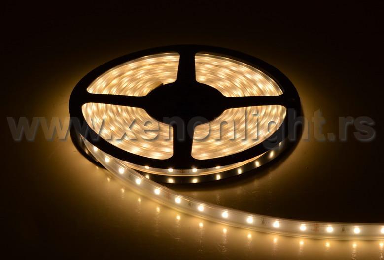 Led traka-KL-2835 60D 8MM 24V-IP65